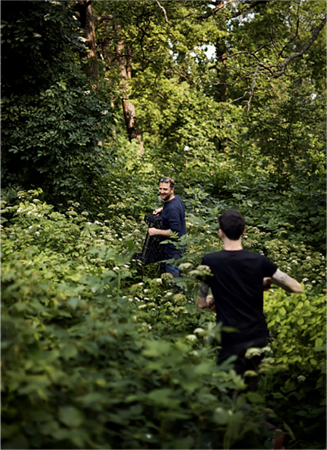 ansok - Vidarstiftelsen